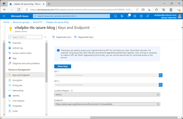 How To Create A Microsoft Azure TTS API KEY
